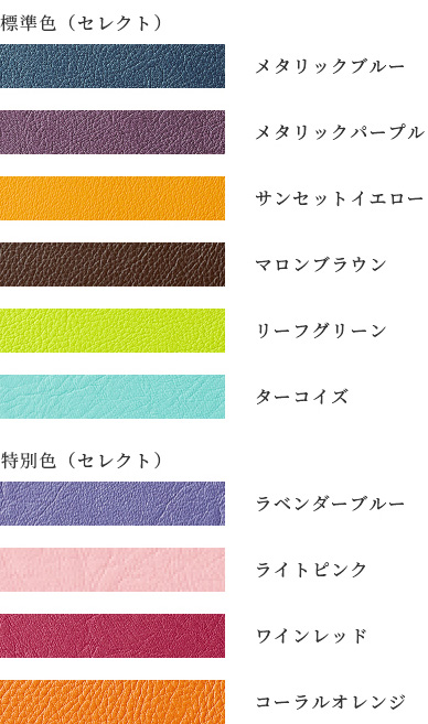 オプション｜EOM AQUA（イオム アクア）｜歯科医療メーカーの「ジーシー」